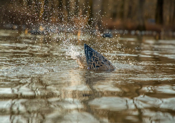 Higdon Pulsator Pro Mallard Decoy - Canadian Waterfowl Supplies