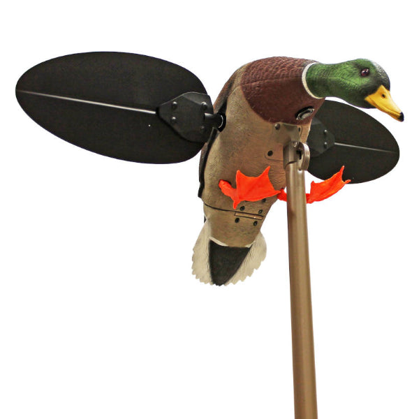 Mojo Mallard Drake Decoy - Canadian Waterfowl Supplies