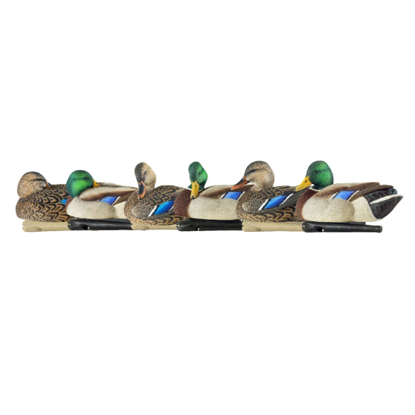 Avian-X Topflight Preener/ Rester Mallard Decoys - Canadian Waterfowl ...