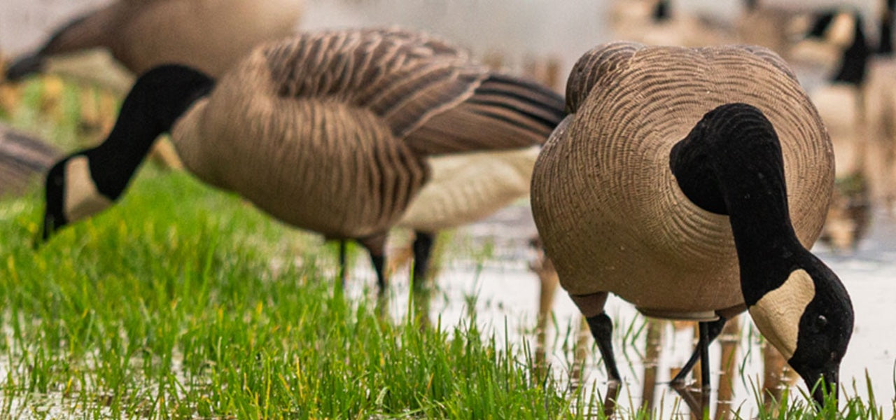 Canadian Waterfowl Supplies | Decoys And Gear For Marsh And Field