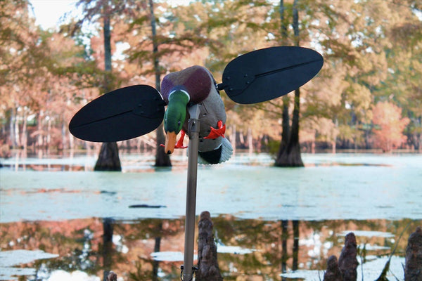 Mojo Mallard Drake Decoy - Canadian Waterfowl Supplies