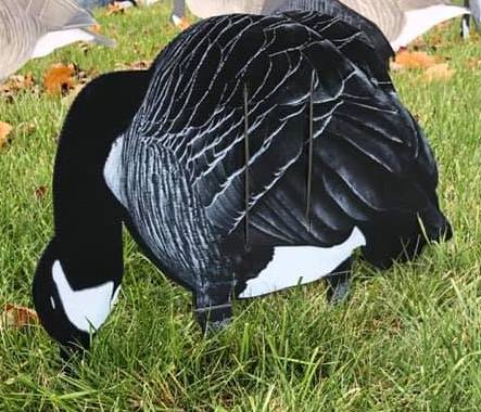 Real-Geese - Canadian Waterfowl Supplies