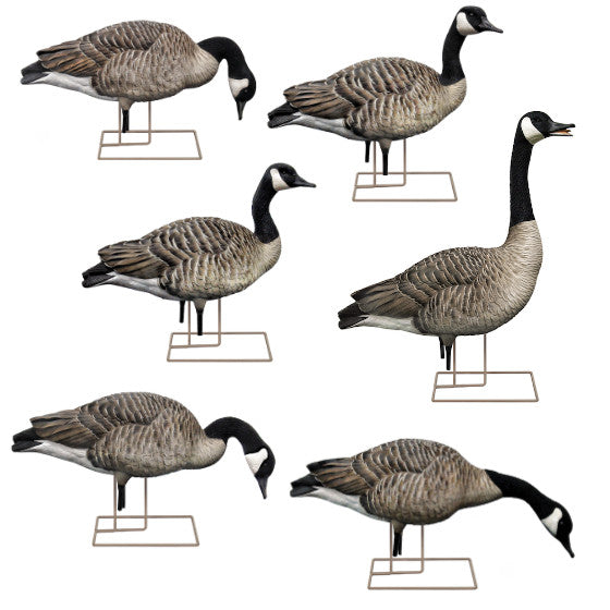 Goose Decoys - Canadian Waterfowl Supplies