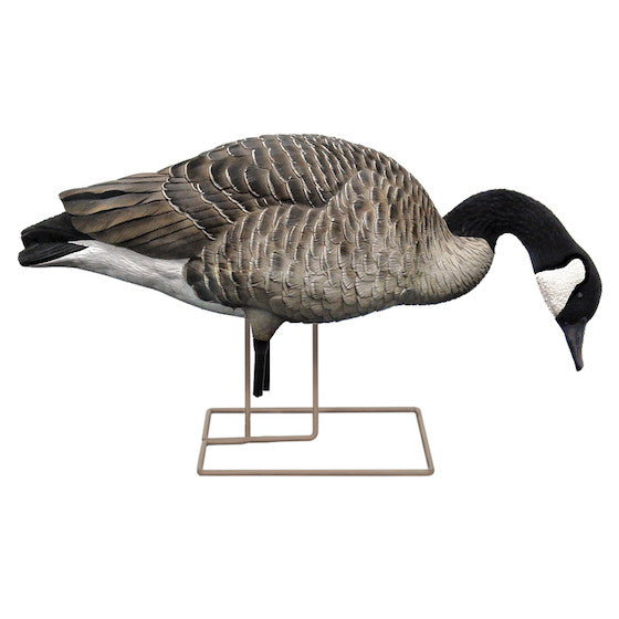 Goose Decoys - Canadian Waterfowl Supplies