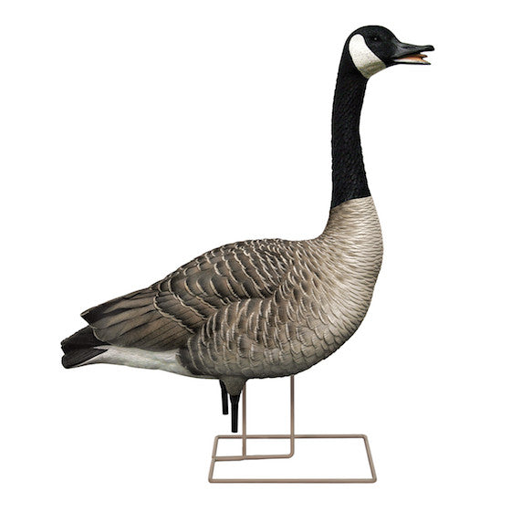 Goose Decoys - Canadian Waterfowl Supplies