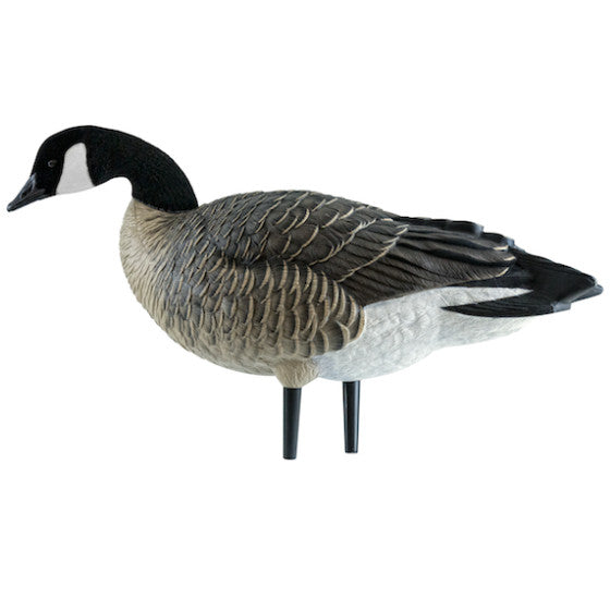 Goose Decoys - Canadian Waterfowl Supplies