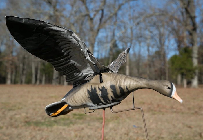 Higdon Outdoors The Clone Specklebelly Goose - Canadian Waterfowl Supplies