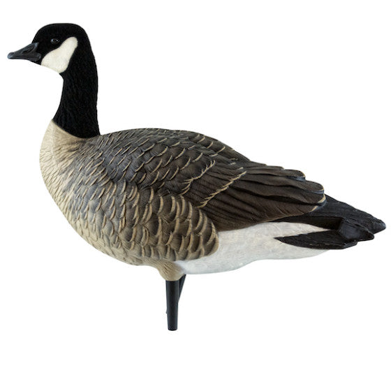 Goose Decoys - Canadian Waterfowl Supplies