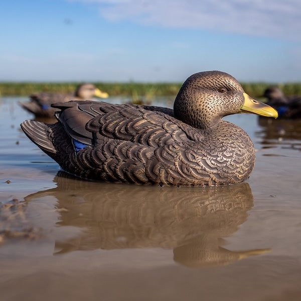 Heyday Lifetime Hydrofoam Black Duck Decoys - Canadian Waterfowl Supplies